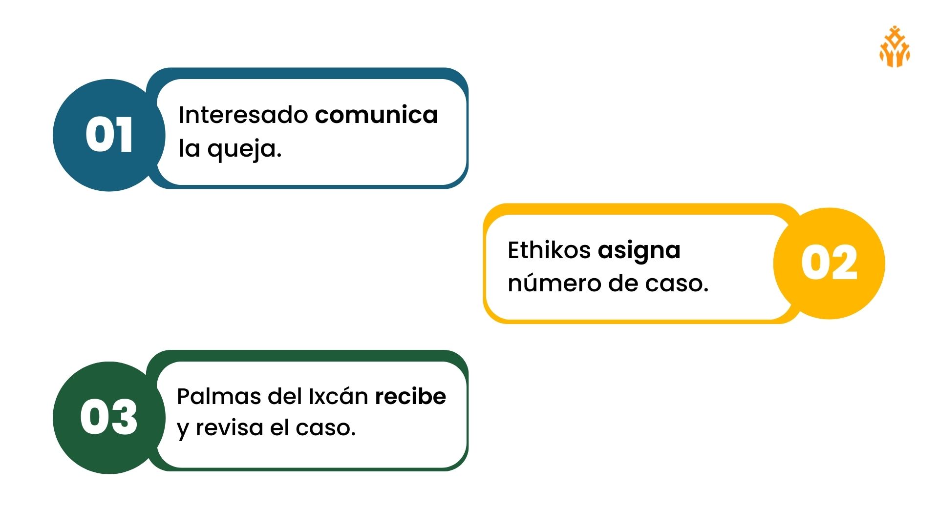 Palmas del Ixcán Palmas del Ixcán
